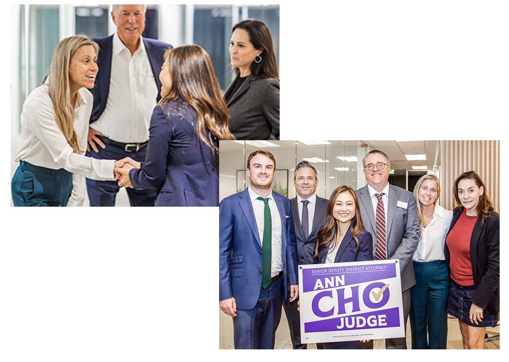 Ann Cho for Judge