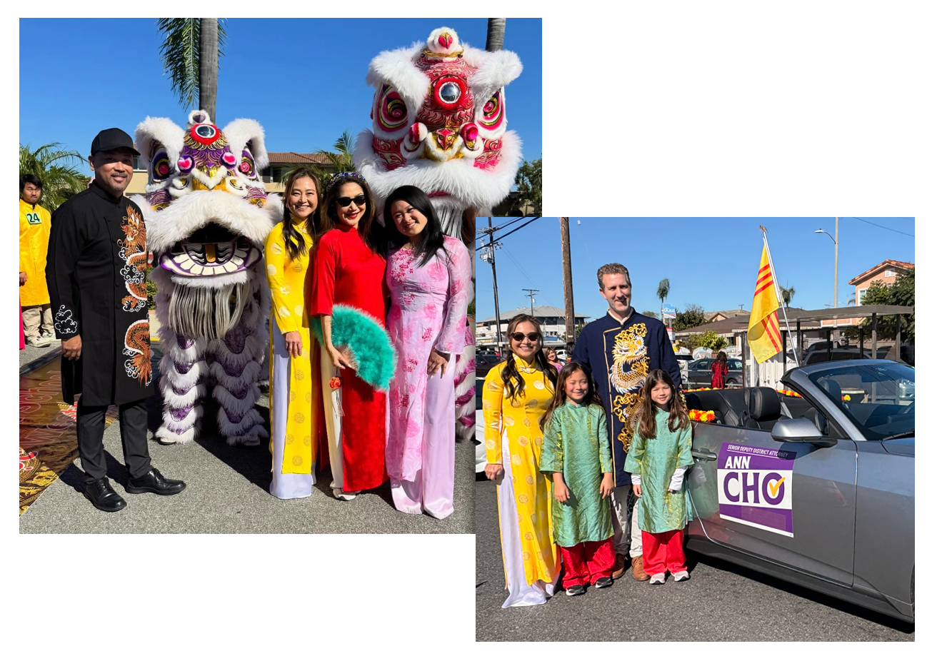 Ann Cho for Judge