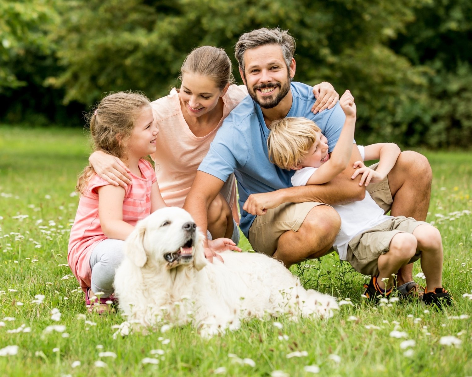 Services | Experience Trusted Pet Care Today — Pet Care Club of Aggieland