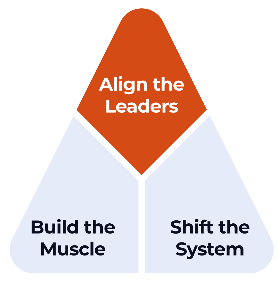 MECRO GROUP - Building Strategic Maturity