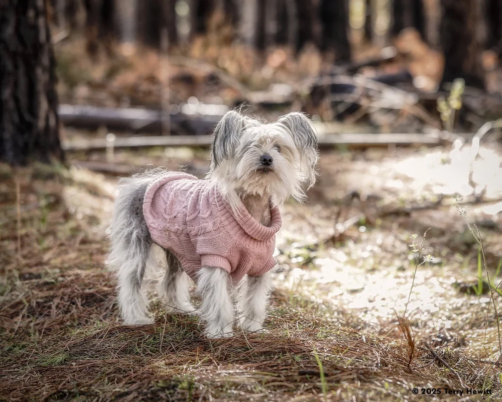 Not Black and White — Terry Hewitt Photography