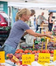 Main Street Markham | Farmers’ Market Saturdays