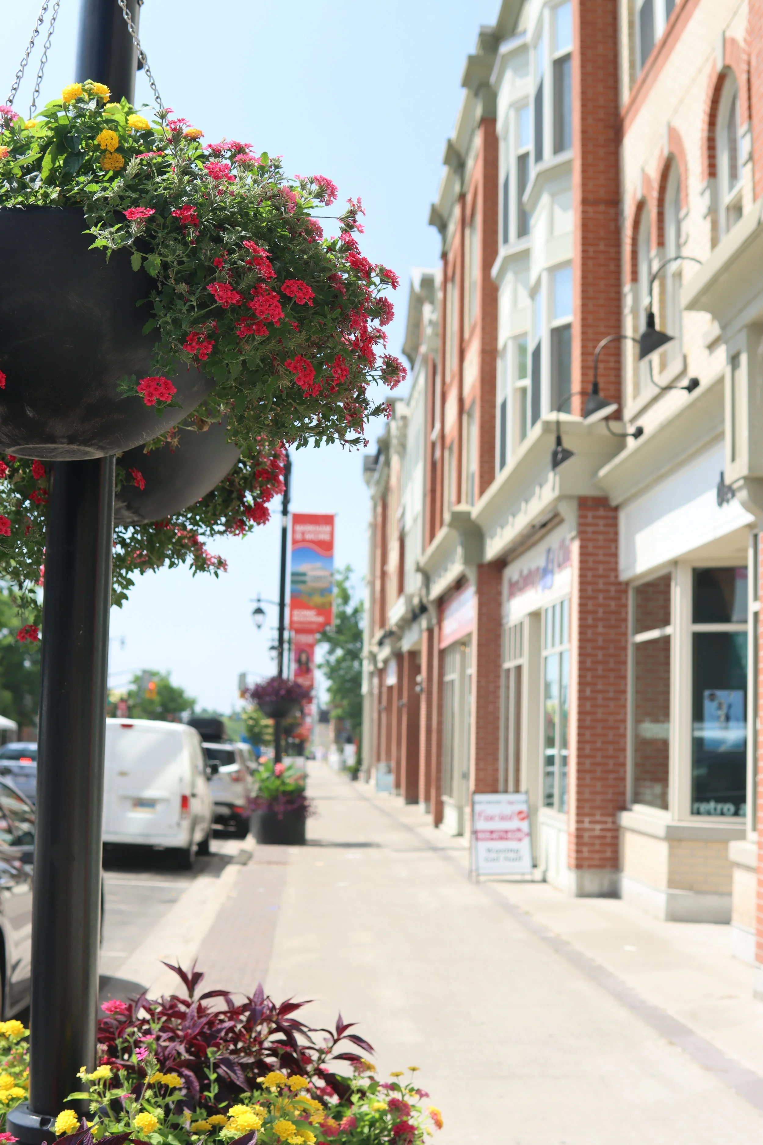 Main Street Markham | Farmers’ Market Saturdays