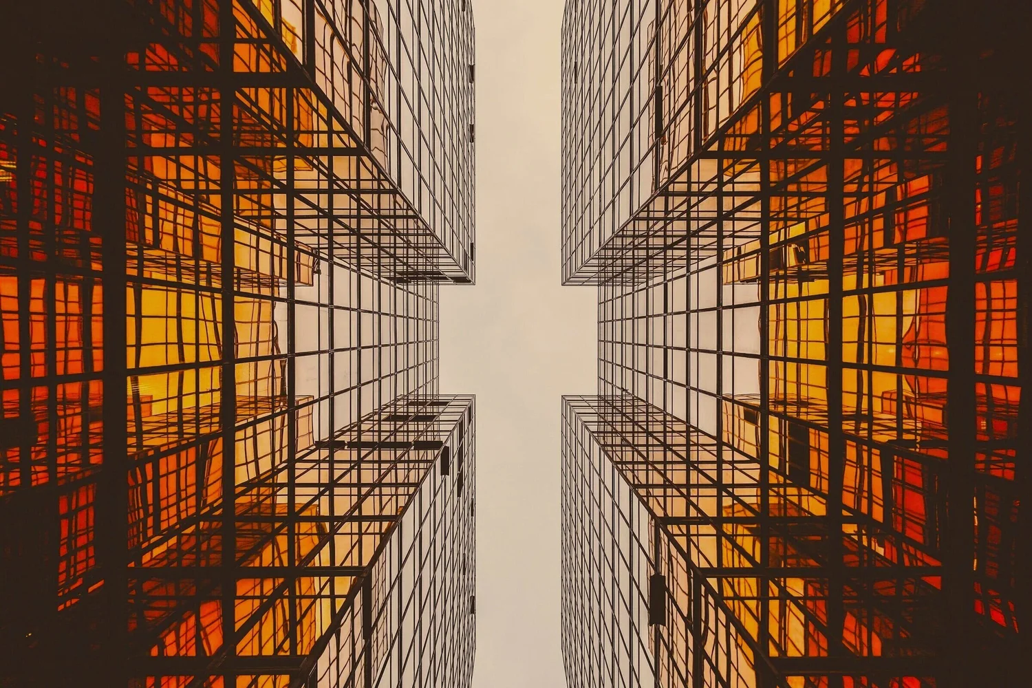 Construction Design and Management — Carl Mannion