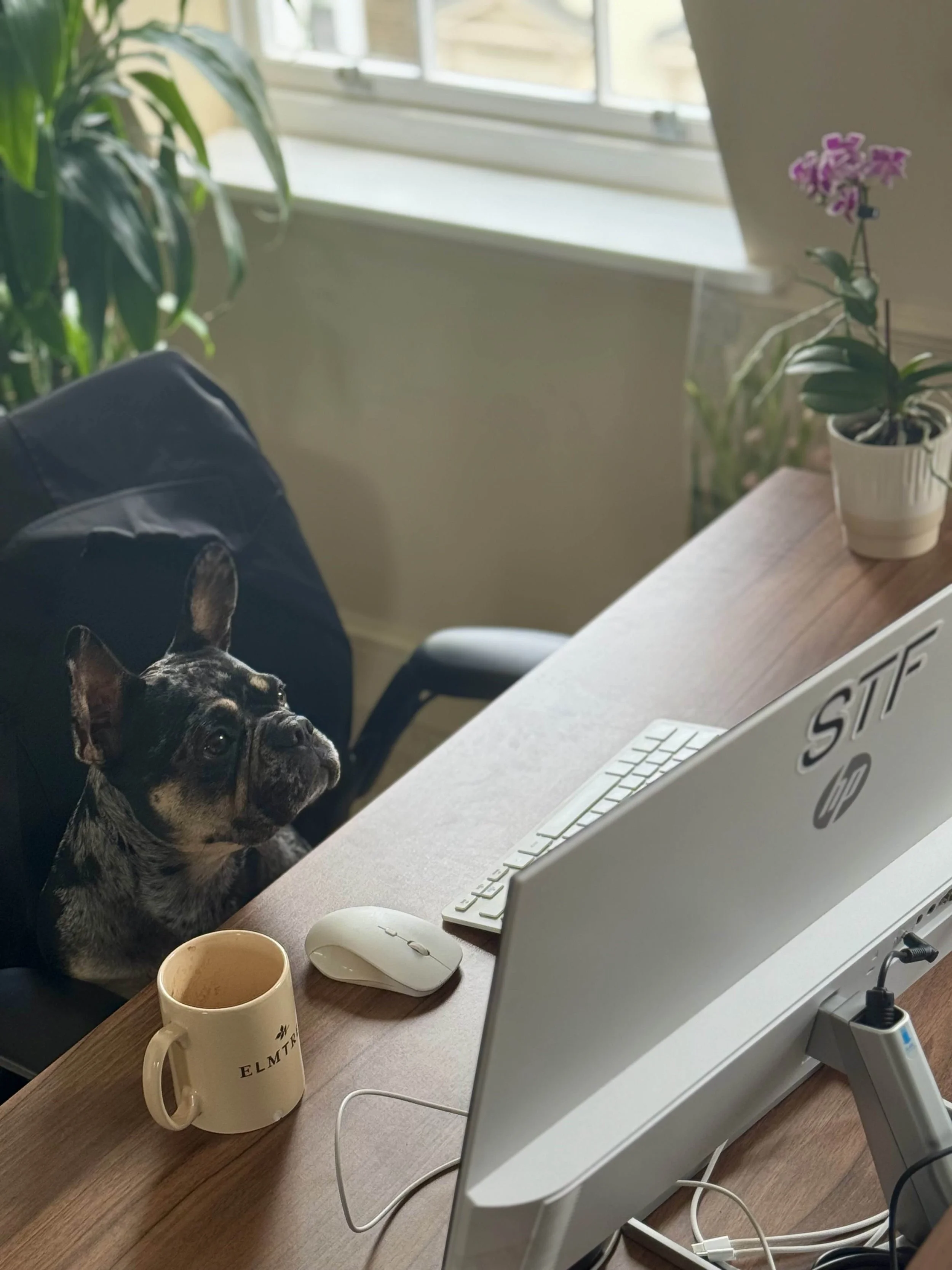 People — Studio Tim Fu