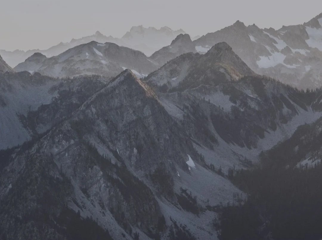 MAGNUS | ONE | Empower Human Performance Today