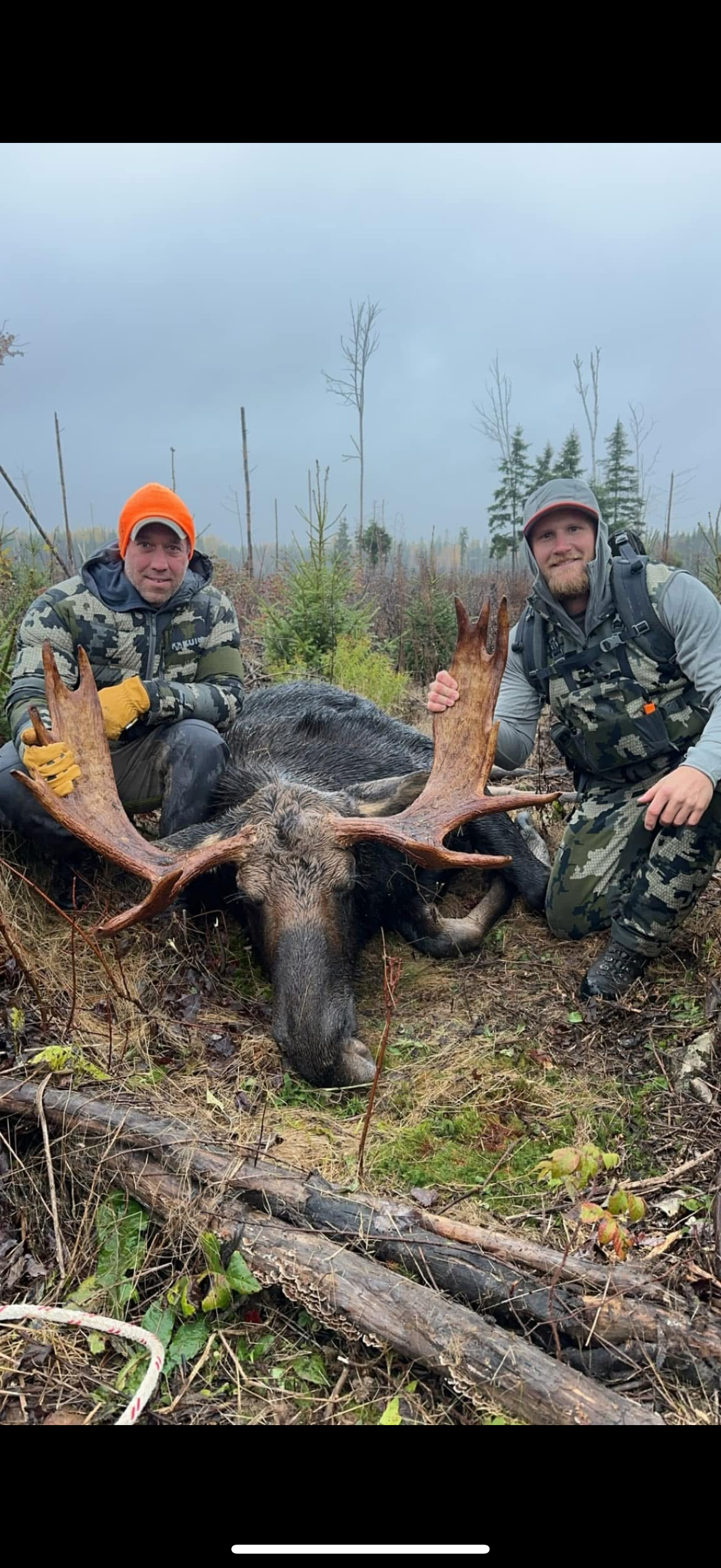 Maine Moose Hunts | Book Your Moose Adventure Today — Howe Brook Outfitters