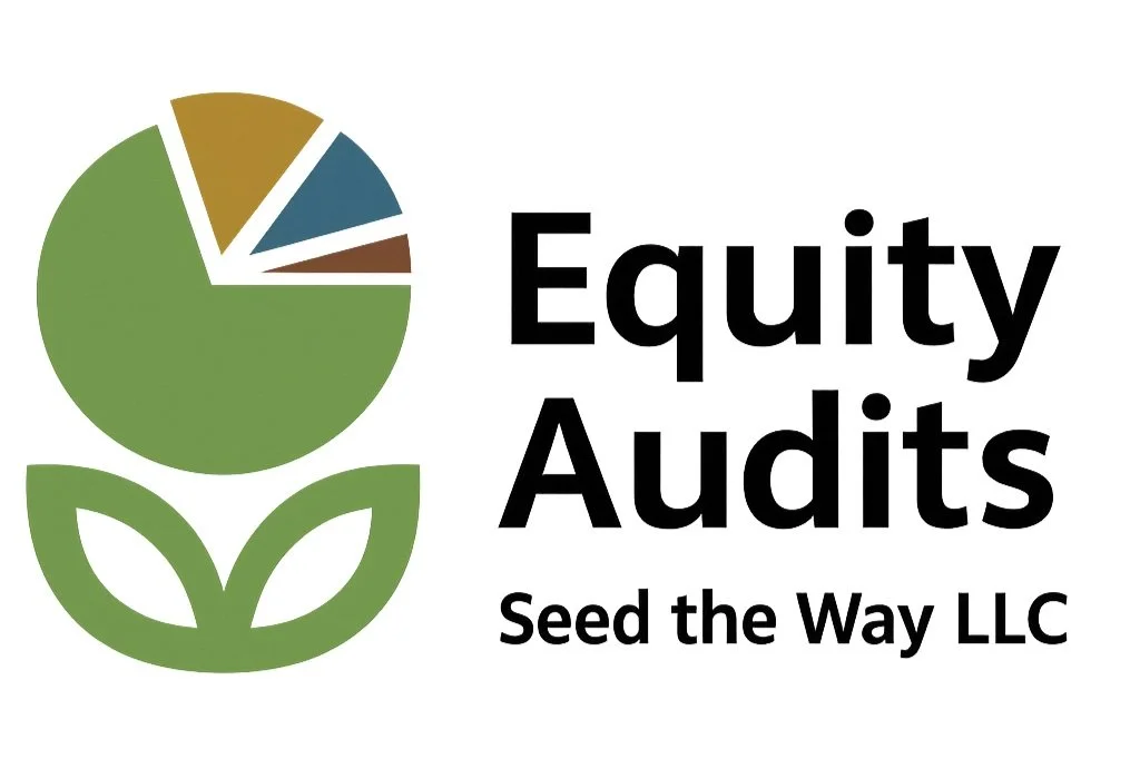 Equity Audit Tool for Schools | Seed the Way by Dr. Rebecca Haslam