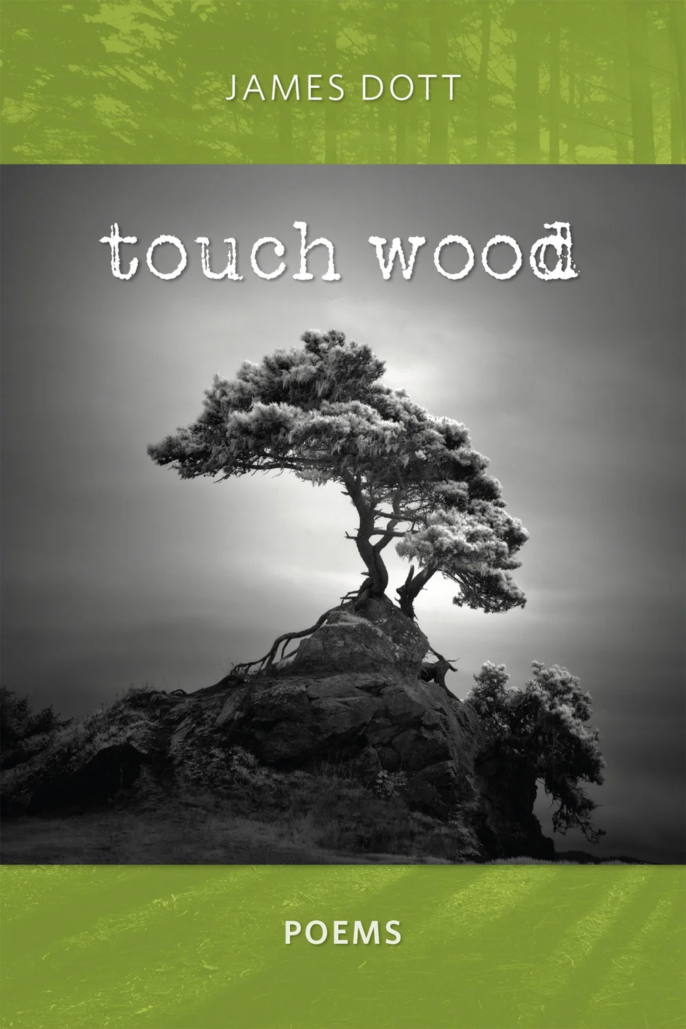 Touch Wood | Discover Natural Wisdom—Explore Now — Watershed Press