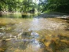 Housatonic River Project