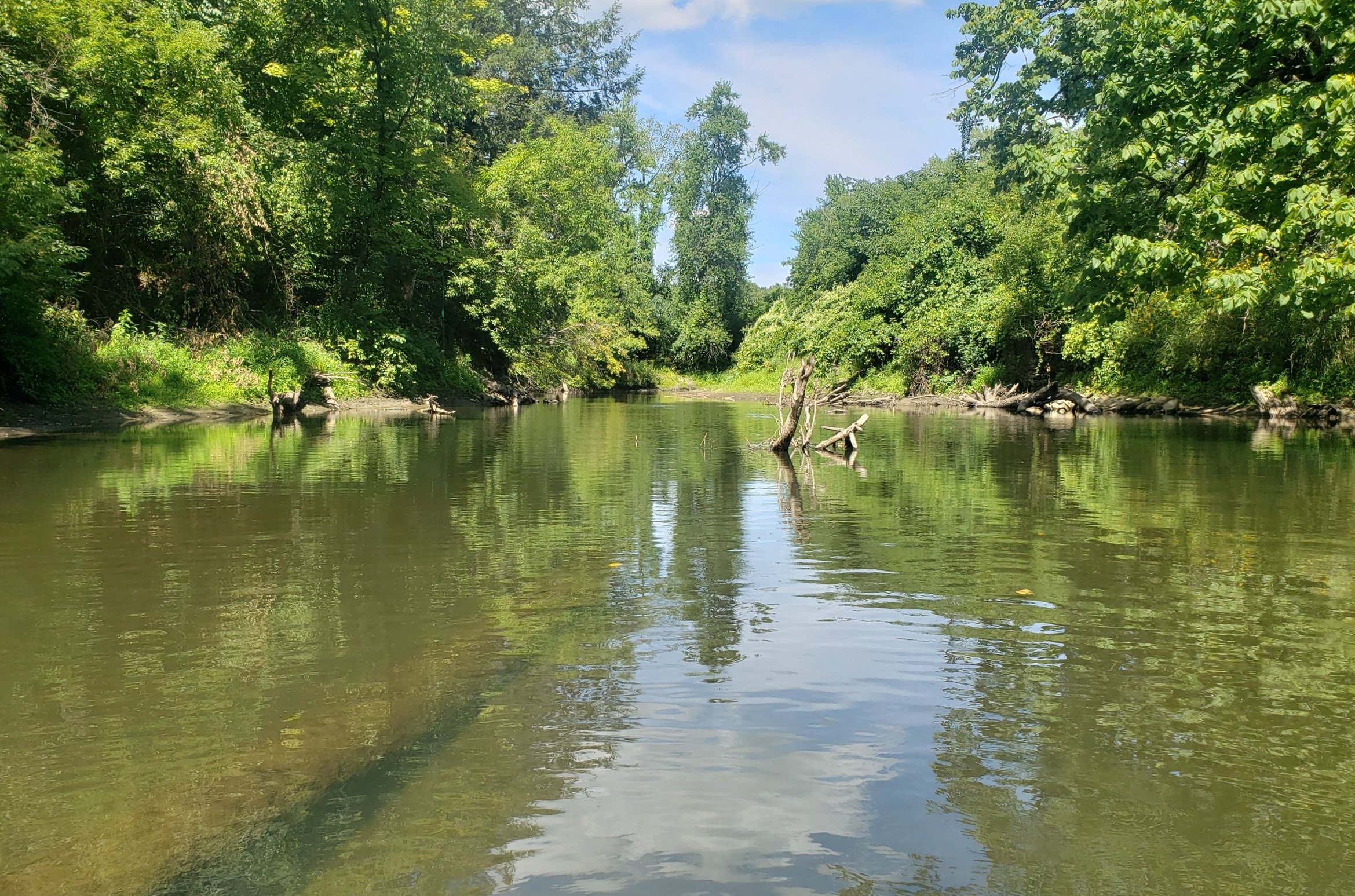 Housatonic River Project
