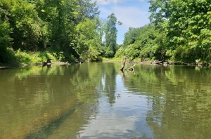 Housatonic River Project
