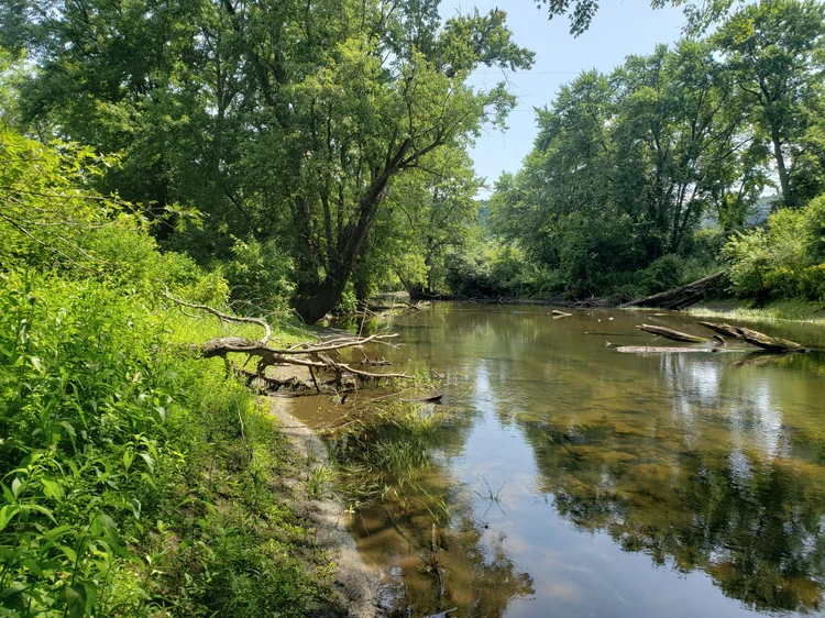 Housatonic River Project
