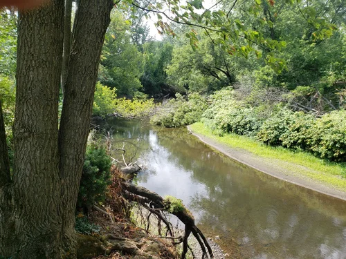 Housatonic River Project