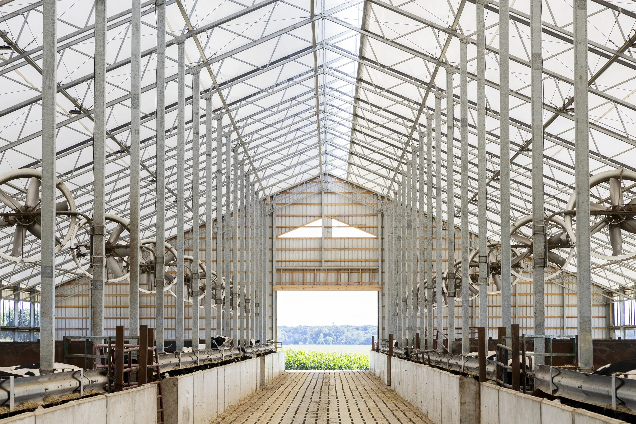 Payne's Feedlot — WeCover Structures