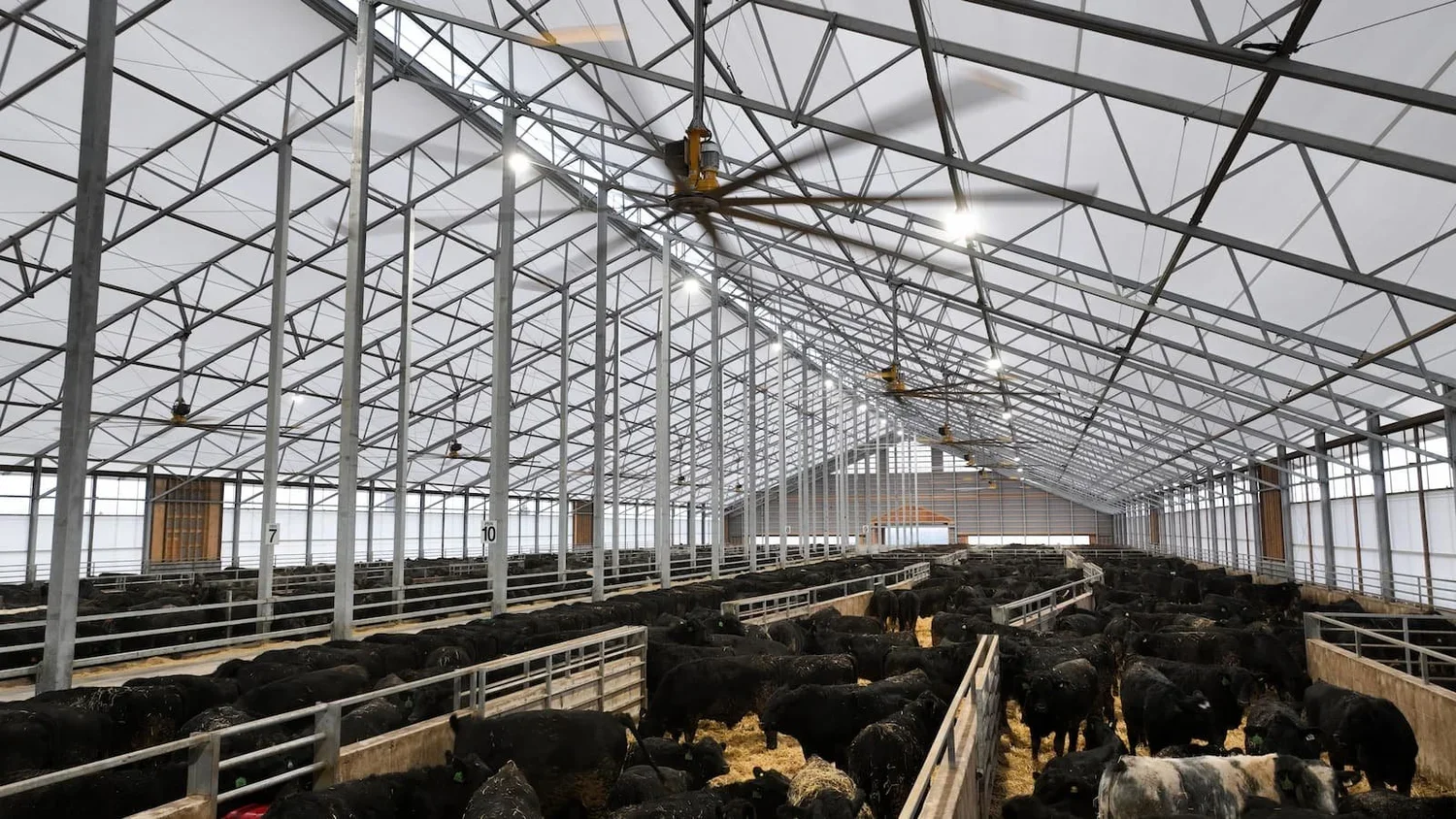 RJM Farms — WeCover Structures