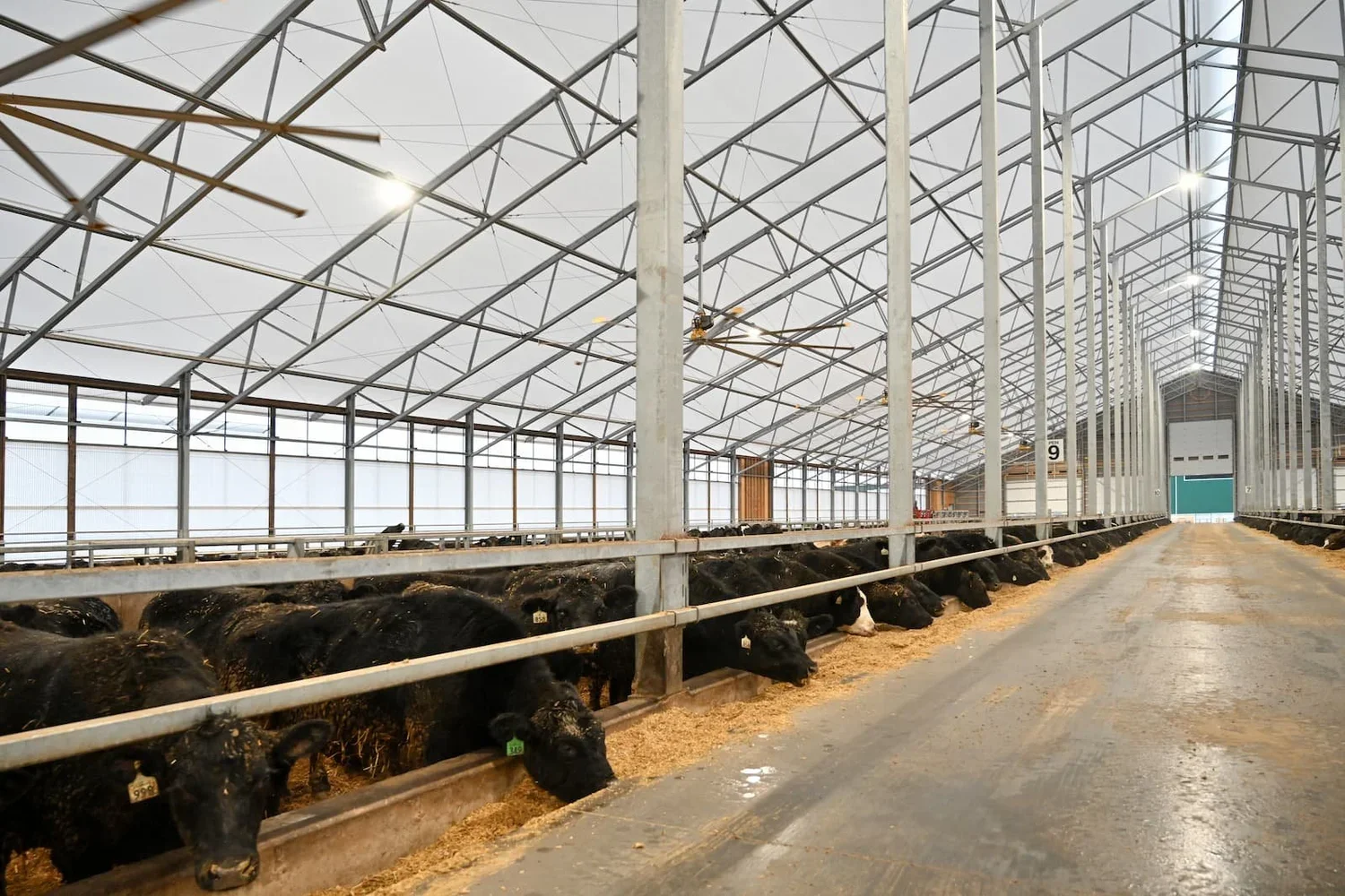 RJM Farms — WeCover Structures