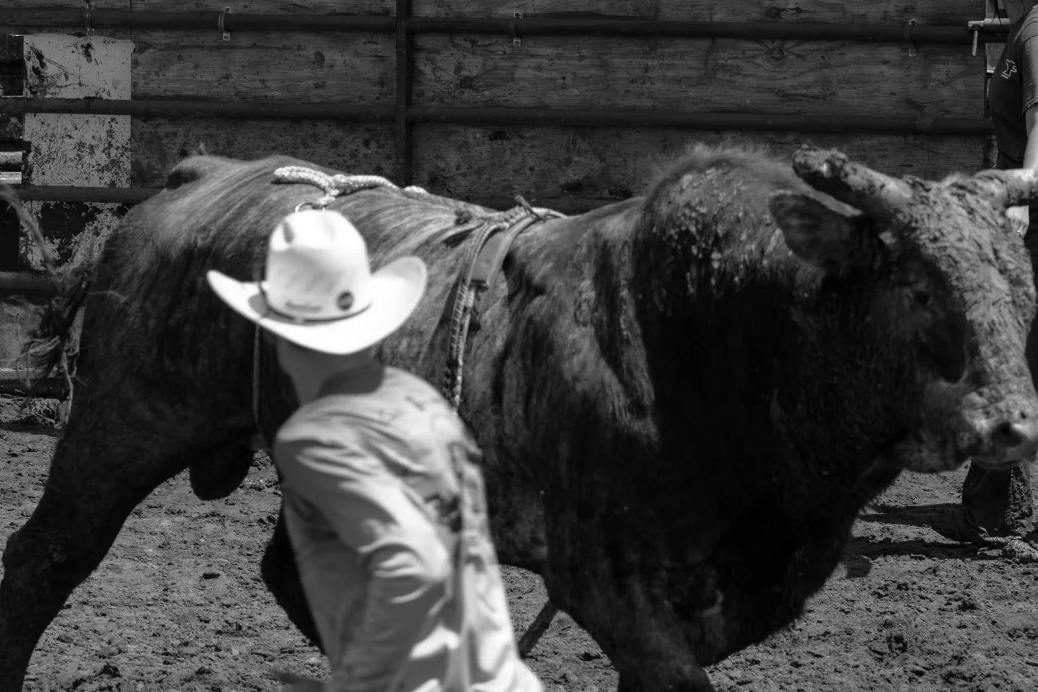 BULL RIDING SCHOOL | Learn Bull Riding Skills Now — Forged Ranch