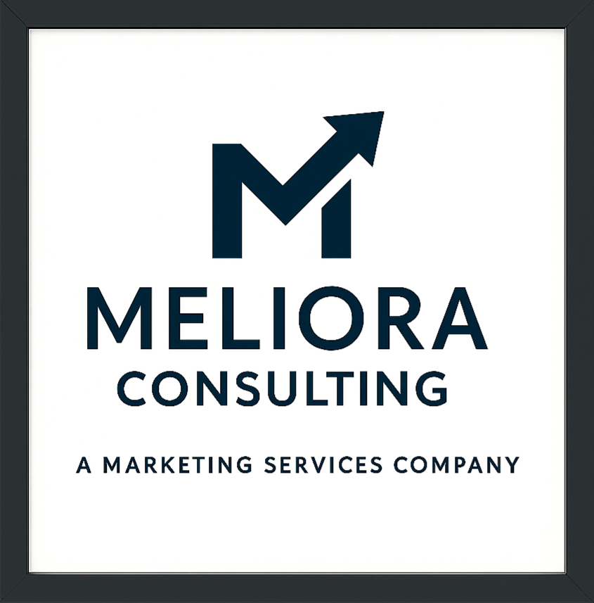 MELIORA CONSULTING LLC