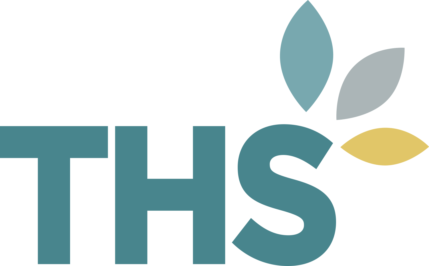 Thrive Healthcare Solutions