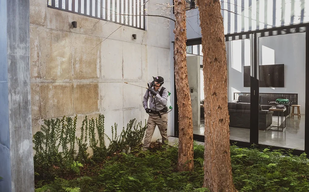 The Best Pest Control in South East Queensland | East West Pest