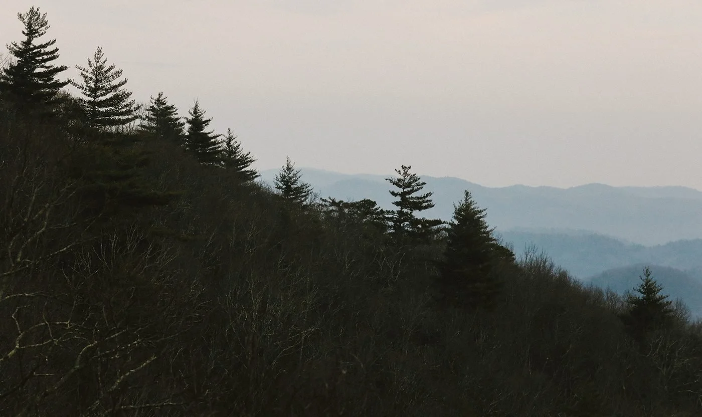 Guide — Highlander Mountain House