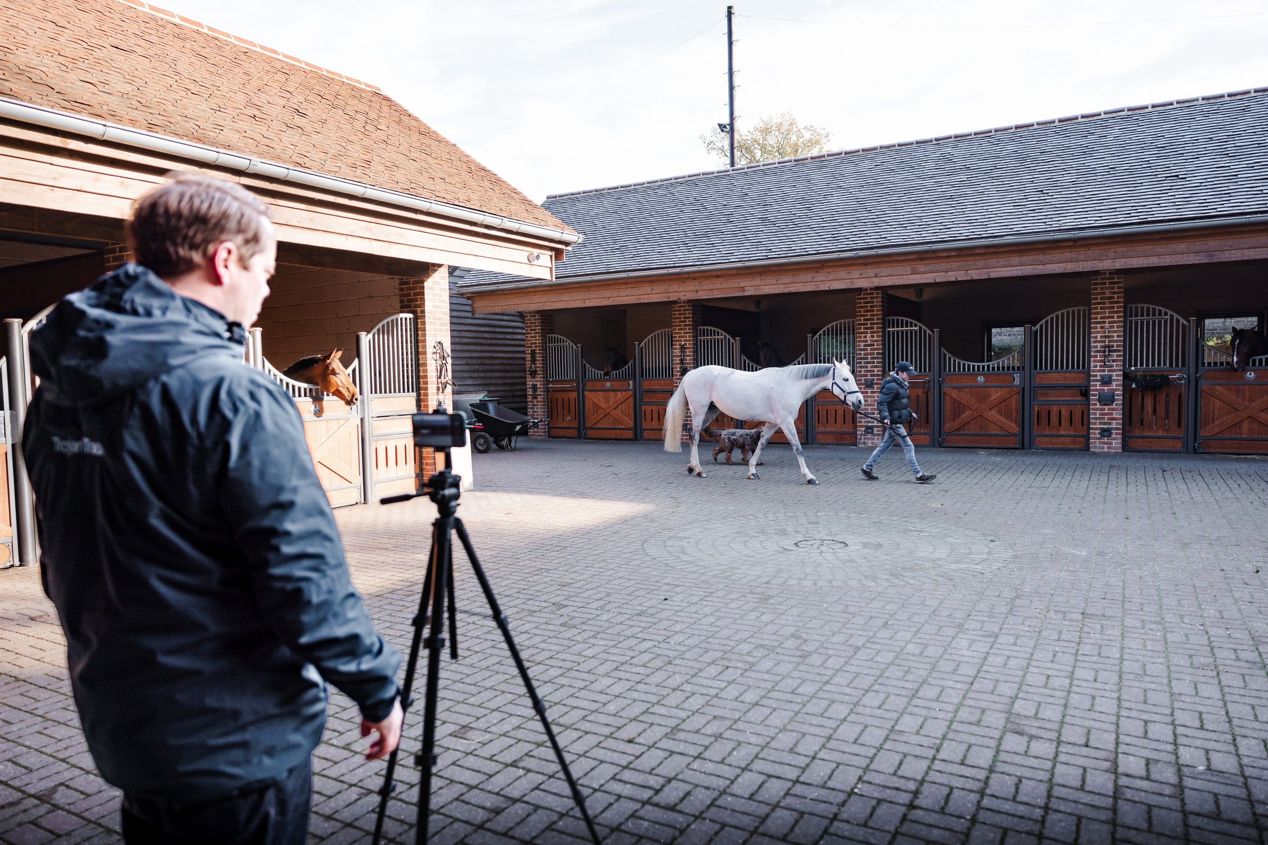 Benefits of TrojanTrack | Real-Time Equine Health & Performance ...