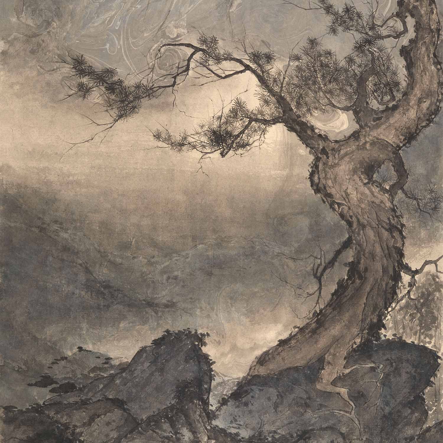 The Misty Mountain Rises Above the Twisting Pine | Prasad Beaven | AGBI ...