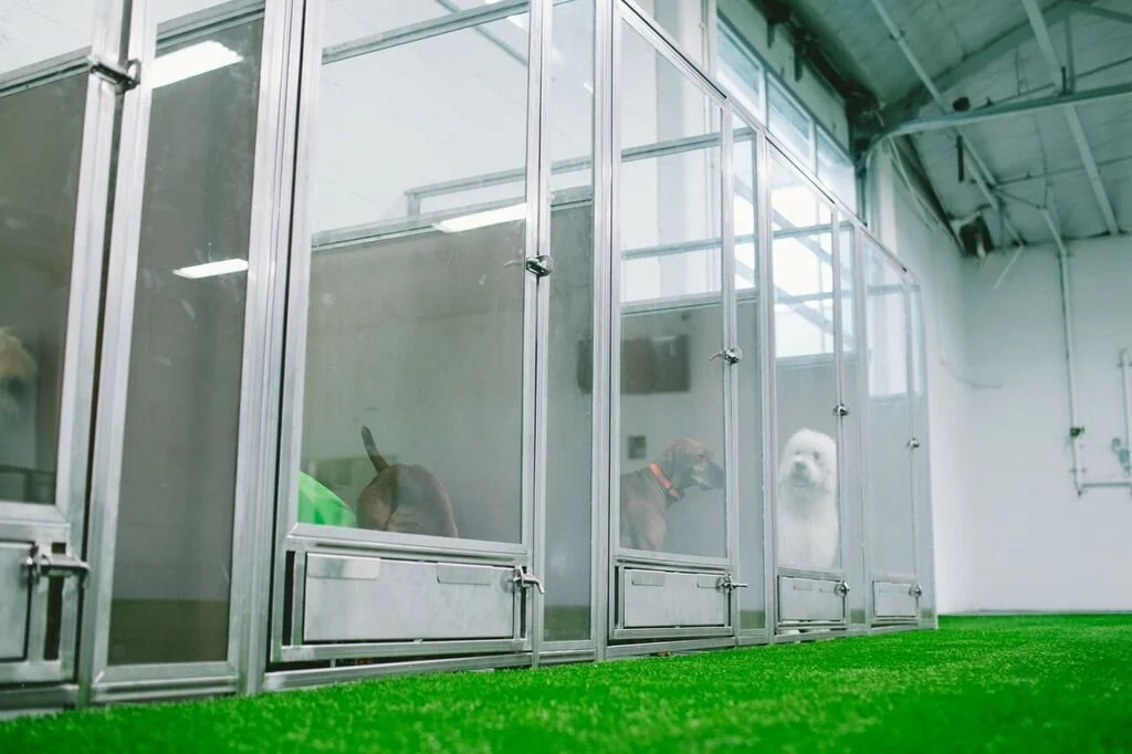 Unleashed Dog Hotel | Book Your Dog's Stay Today