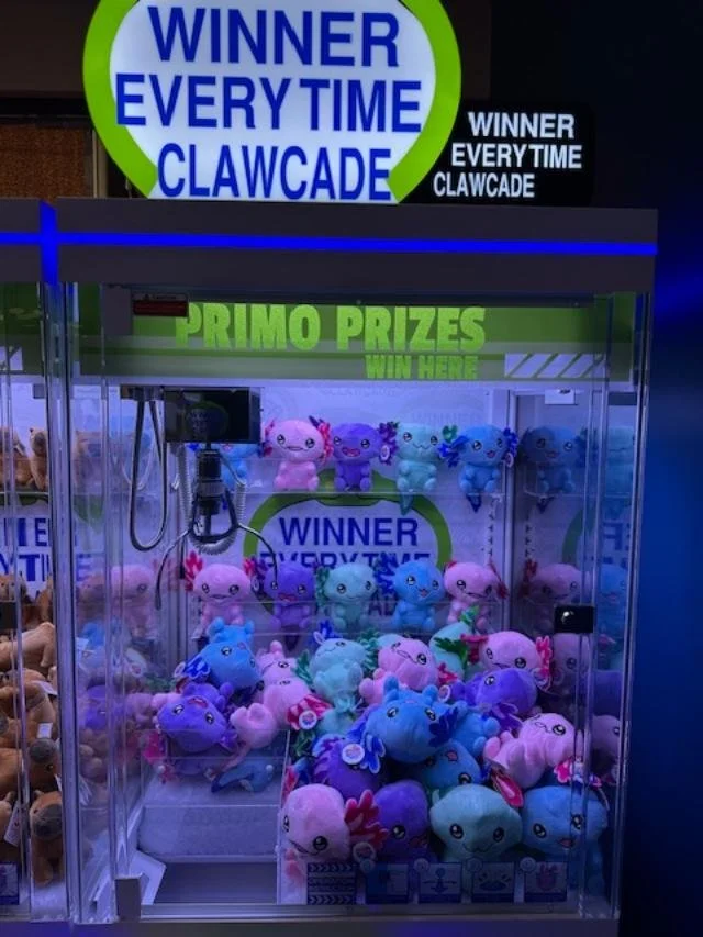 Our Prizes — Winner Ever Time Clawcade