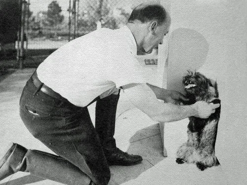 Toto: The Dog Who Stole Our Hearts in Oz | Dogs in History