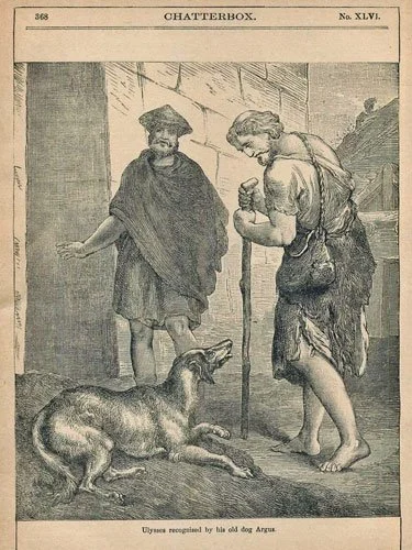 Argos: Homer’s Faithful Dog in the Odyssey | Dogs in History