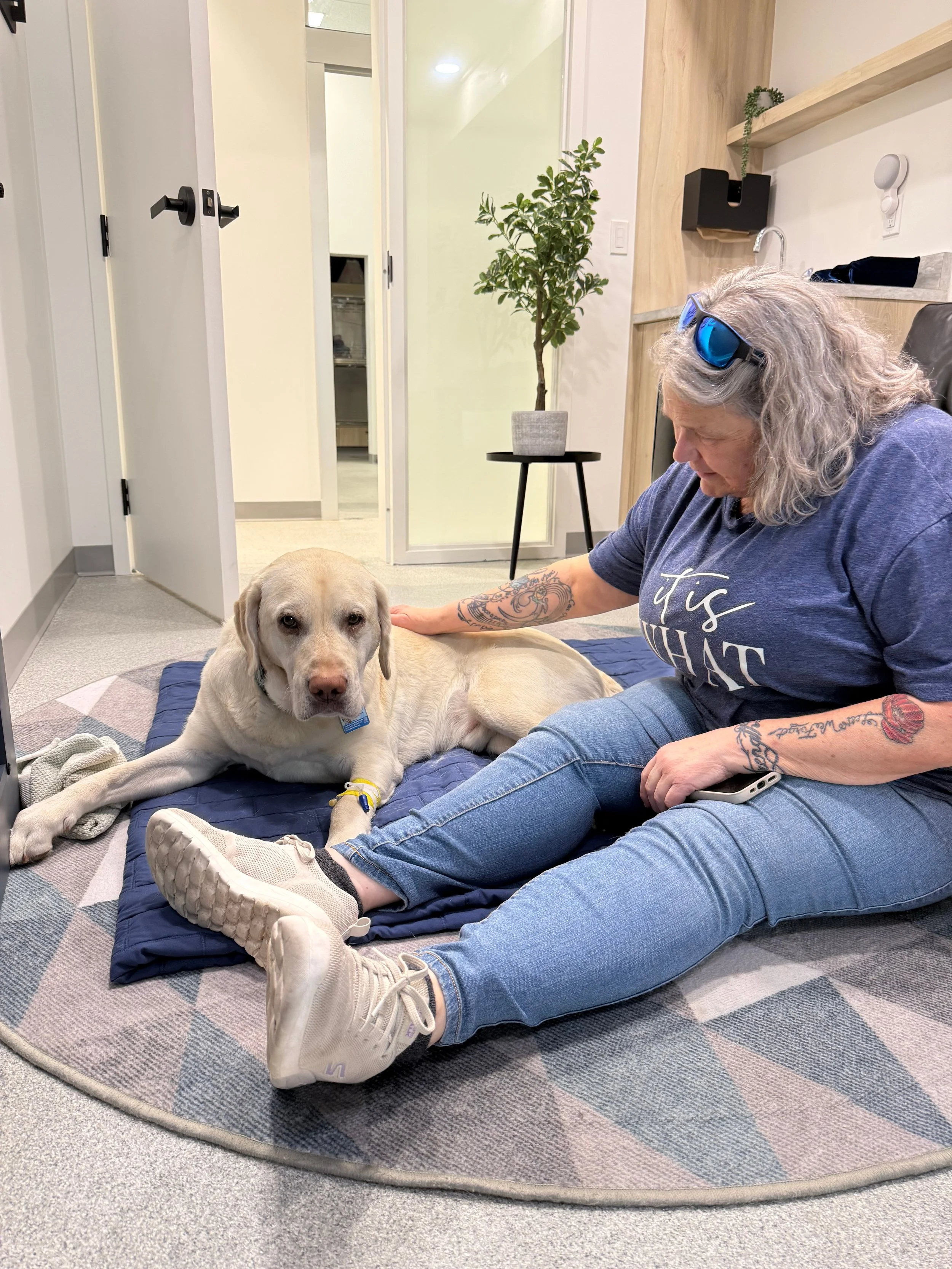 VetWell Waterdown Animal Hospital