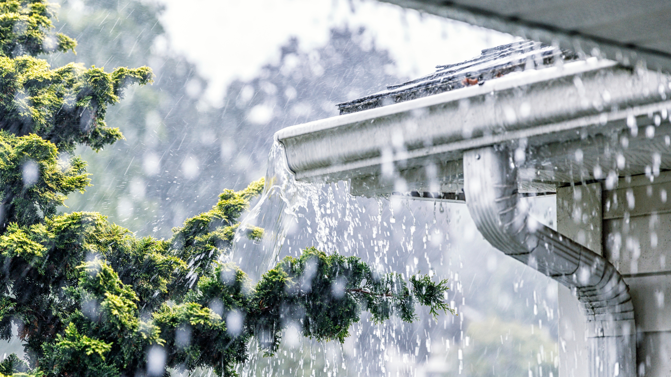 Stormwater Fee Information | Learn more — Your Ward 10
