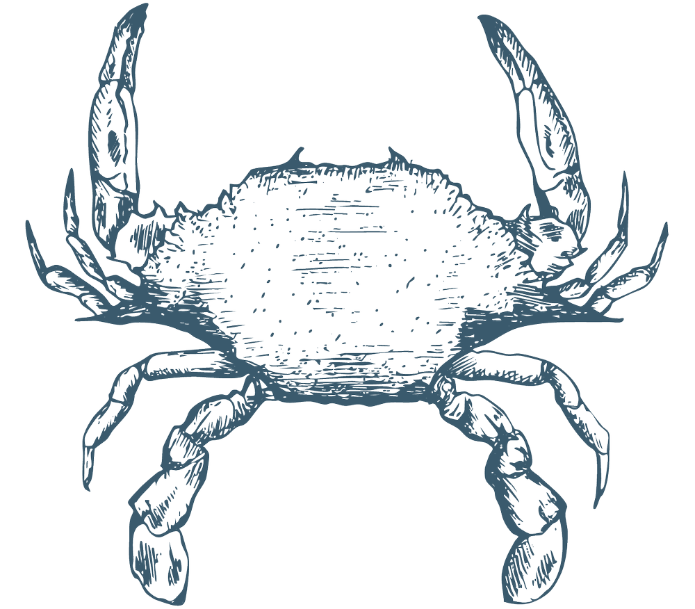 Menu — CAET Seafood, Oysterette