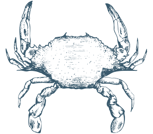 Menu — CAET Seafood, Oysterette
