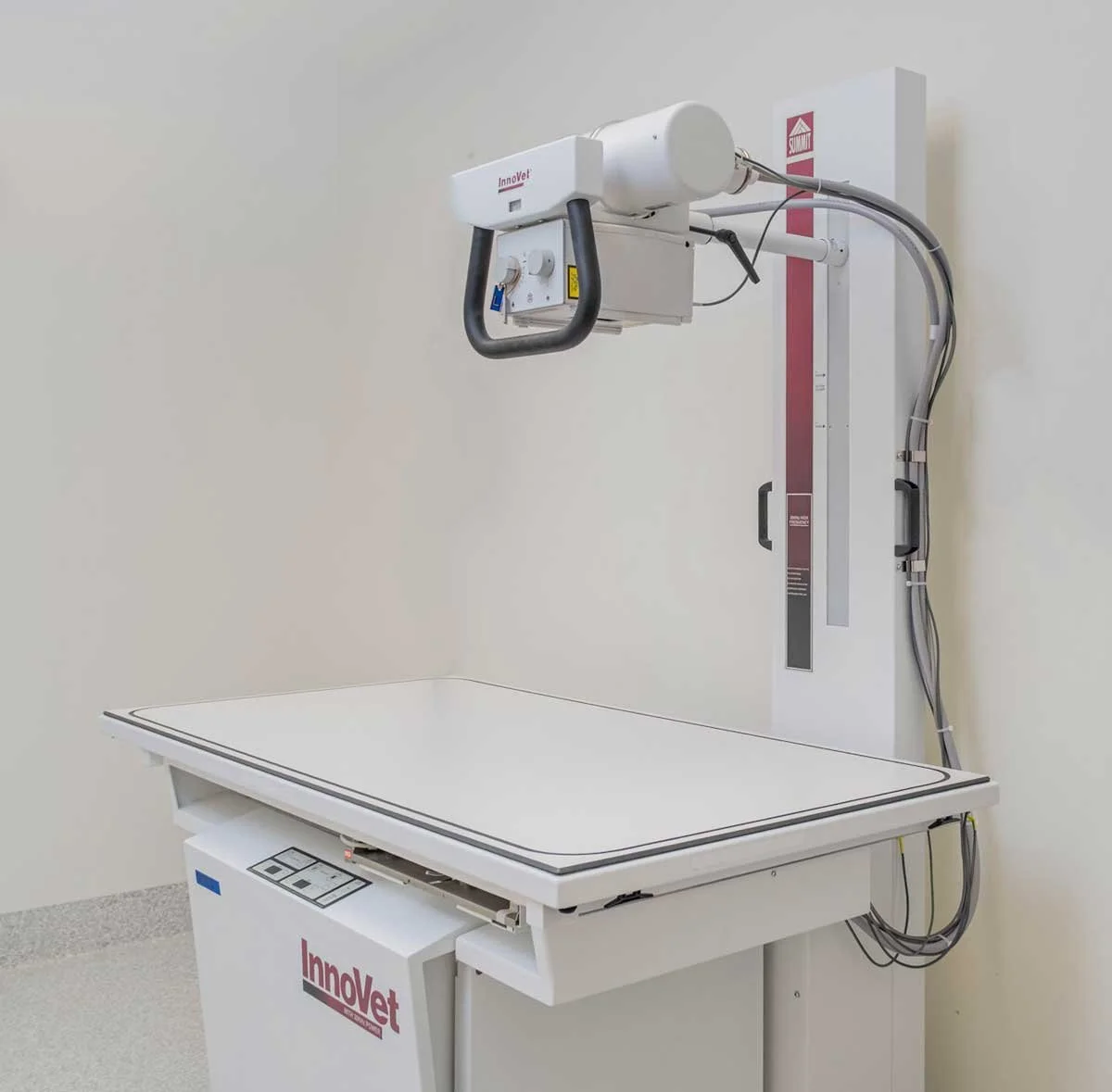 Services — River Valley Veterinary Center