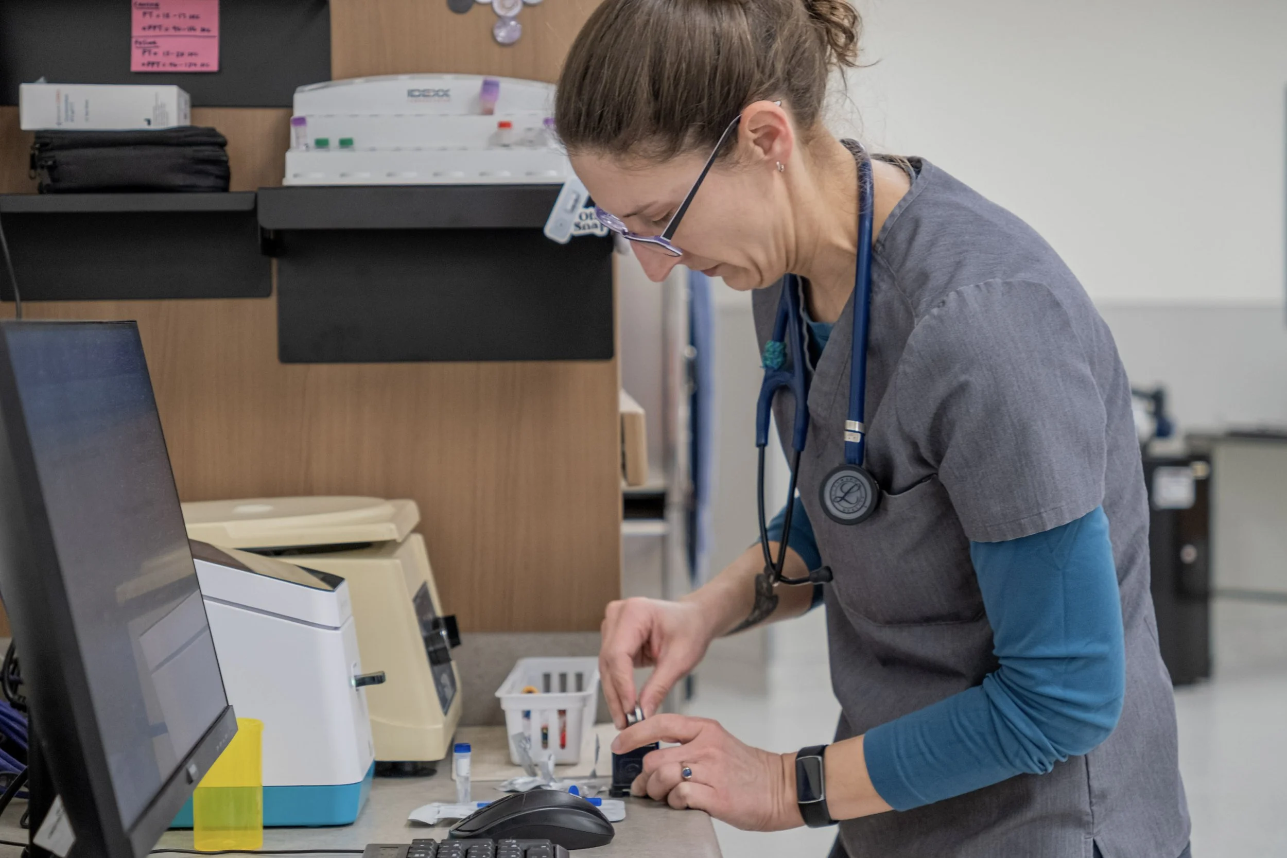 Services — River Valley Veterinary Center
