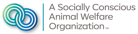 What is PACFA and Why is it Important? — Second Chance Humane Society ...