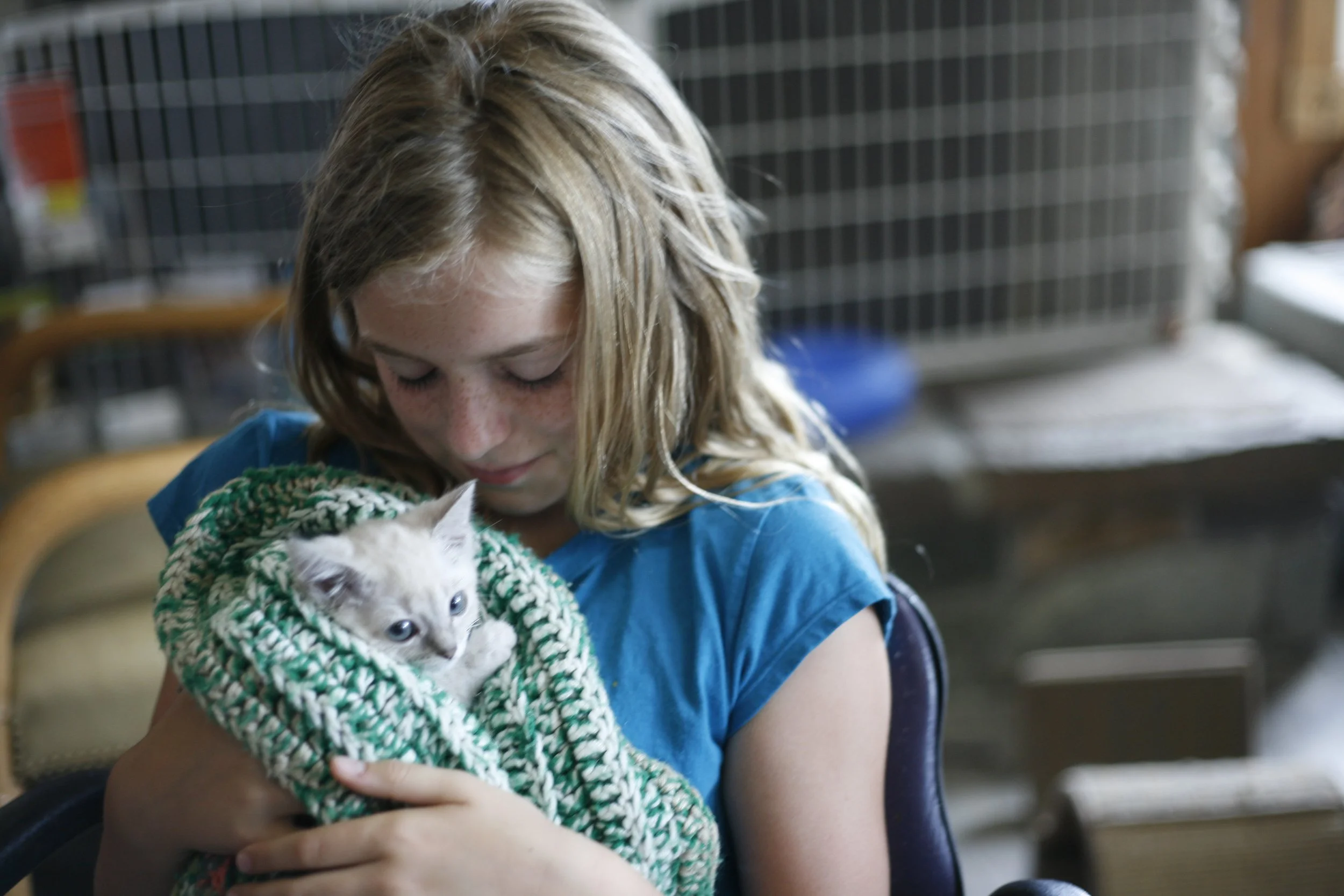 Veterinary Voucher Application | Get Pet Care Assistance Today — Second ...