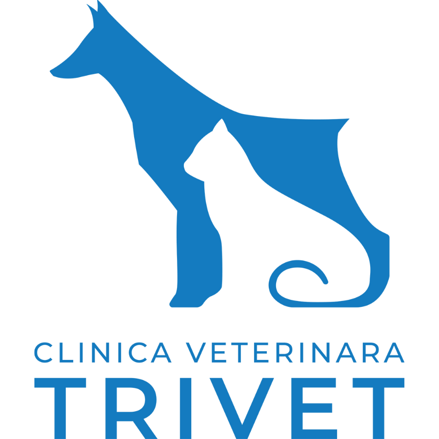 Contact — Trivet