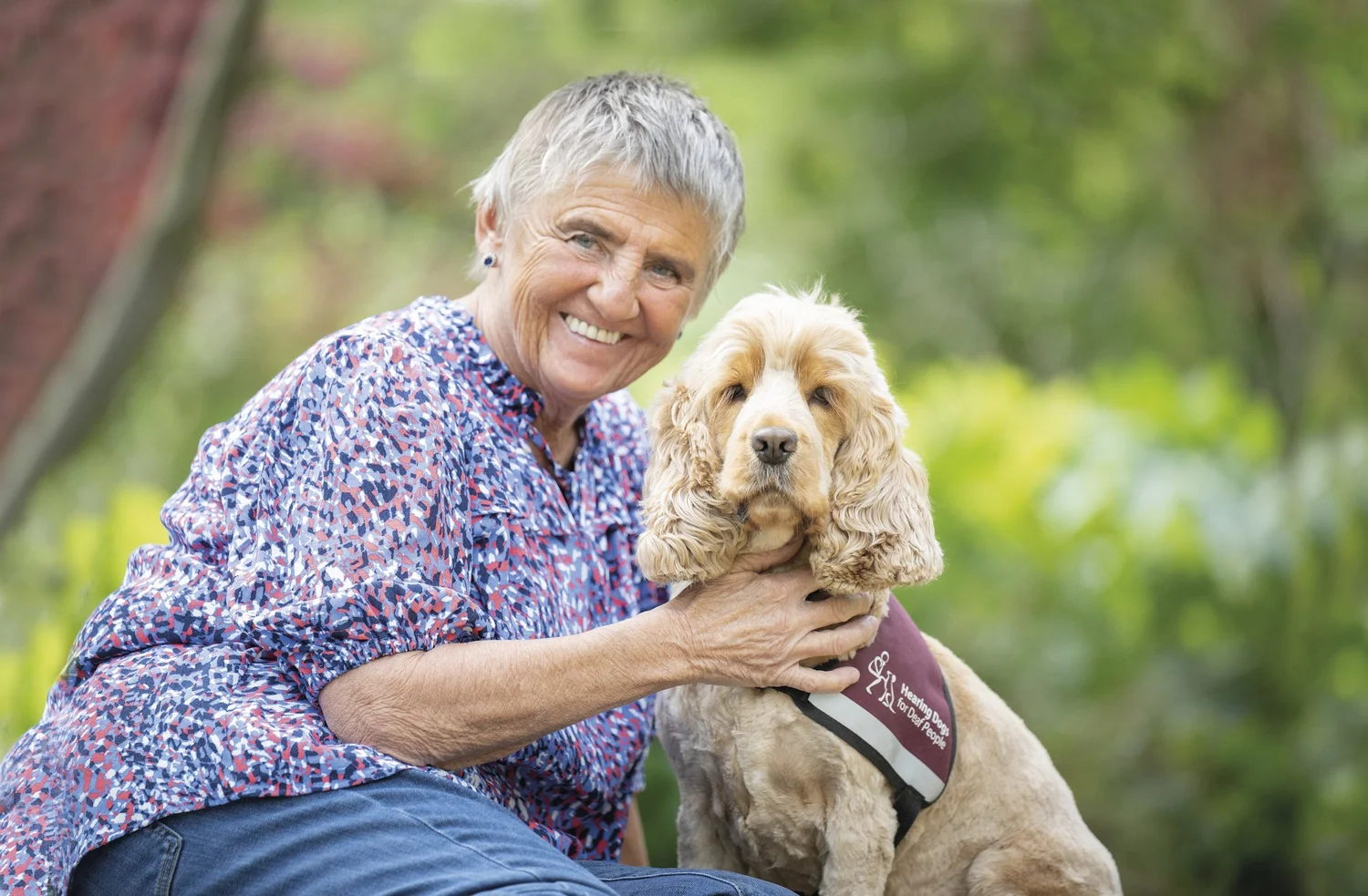 Lead the Pack with Hearing Dogs for Deaf People | Empower Your Data ...