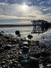 Events | Discover Local Events Today — Port Jeff