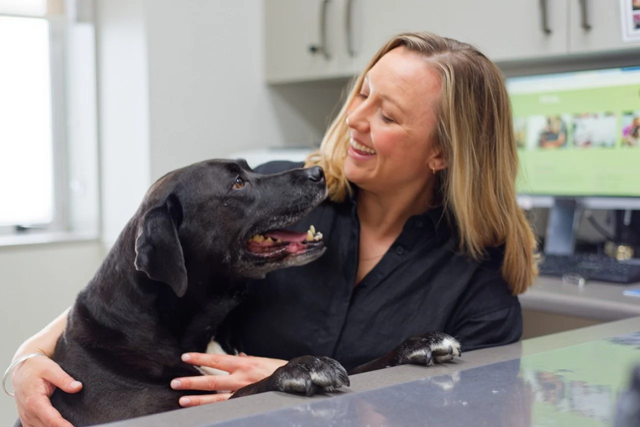 Heal Holistic Veterinary Care | Holistic, Integrative Vet Support in NZ