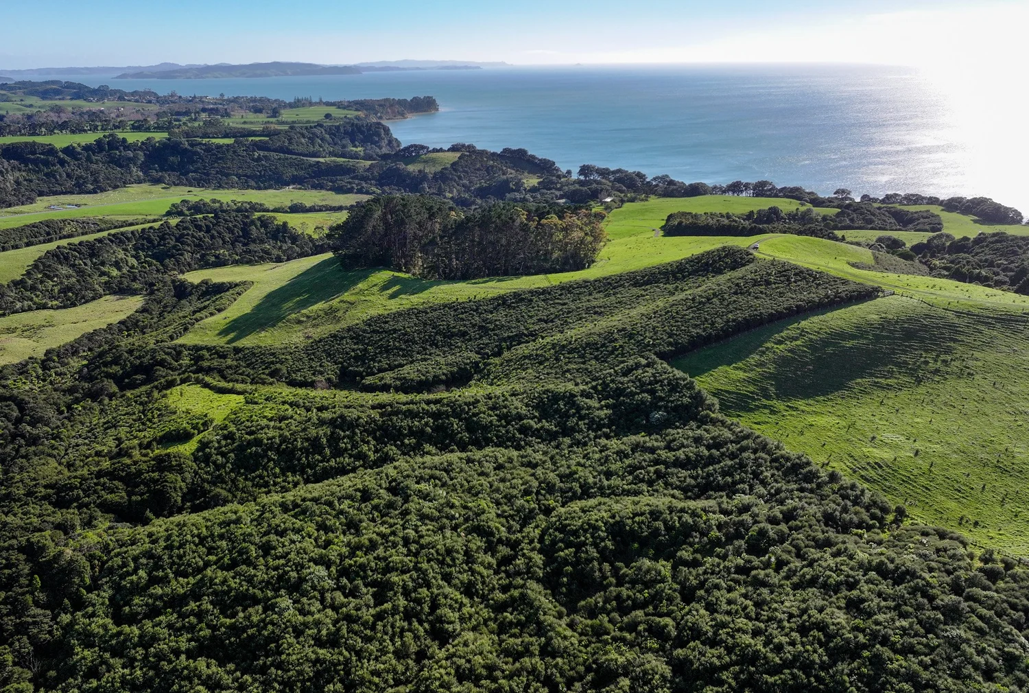 Kauri Park Projects — New Zealand wholesale native and urban ...