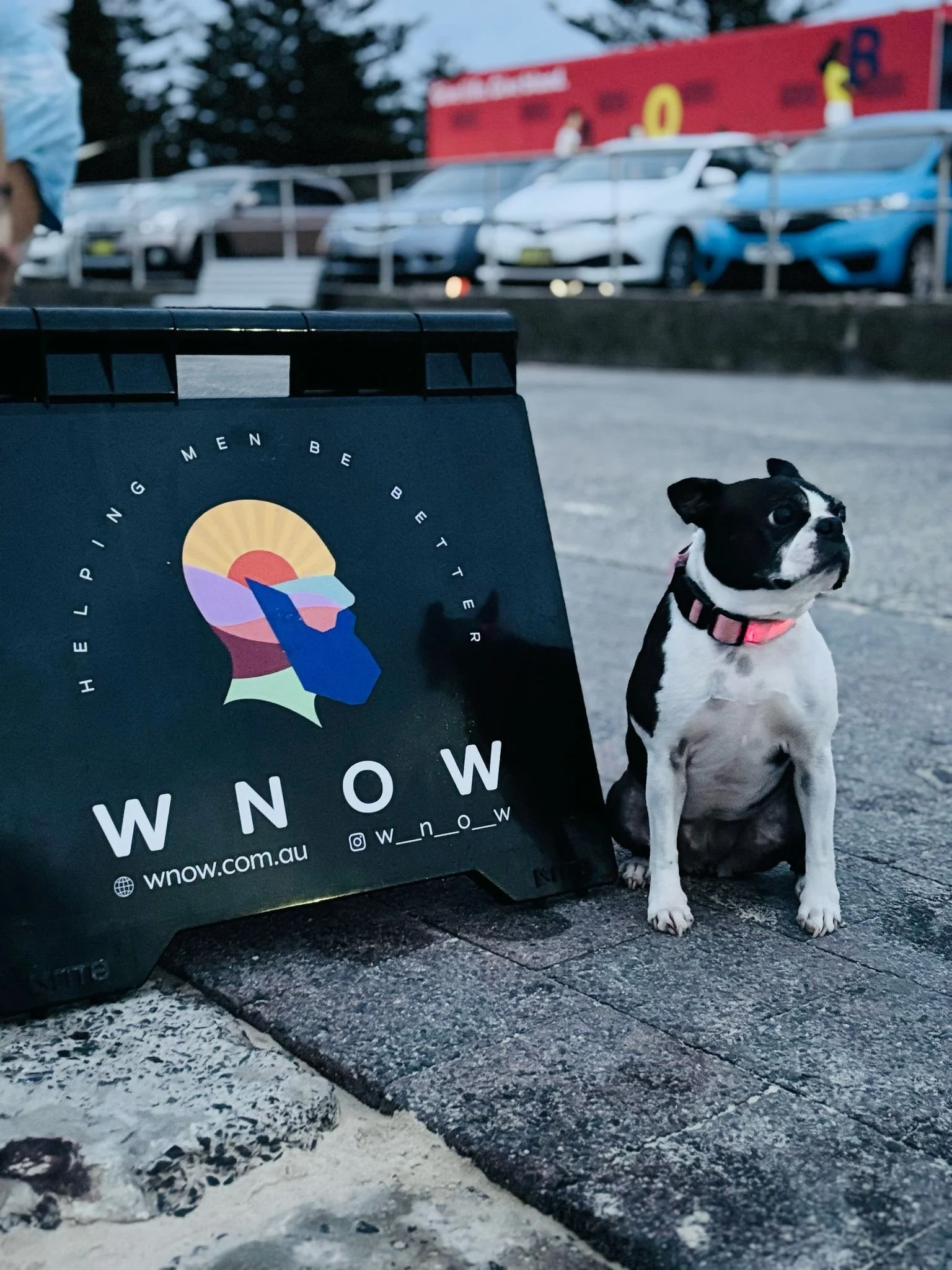 W N O W