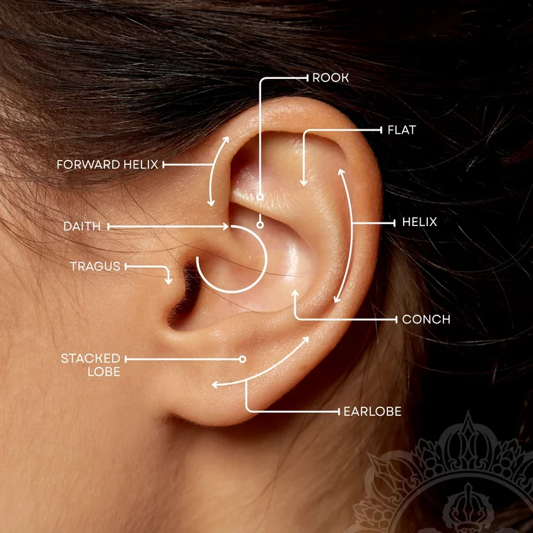 Pricing Menu | Discover Your Perfect Piercing — Book Today — Dorje ...