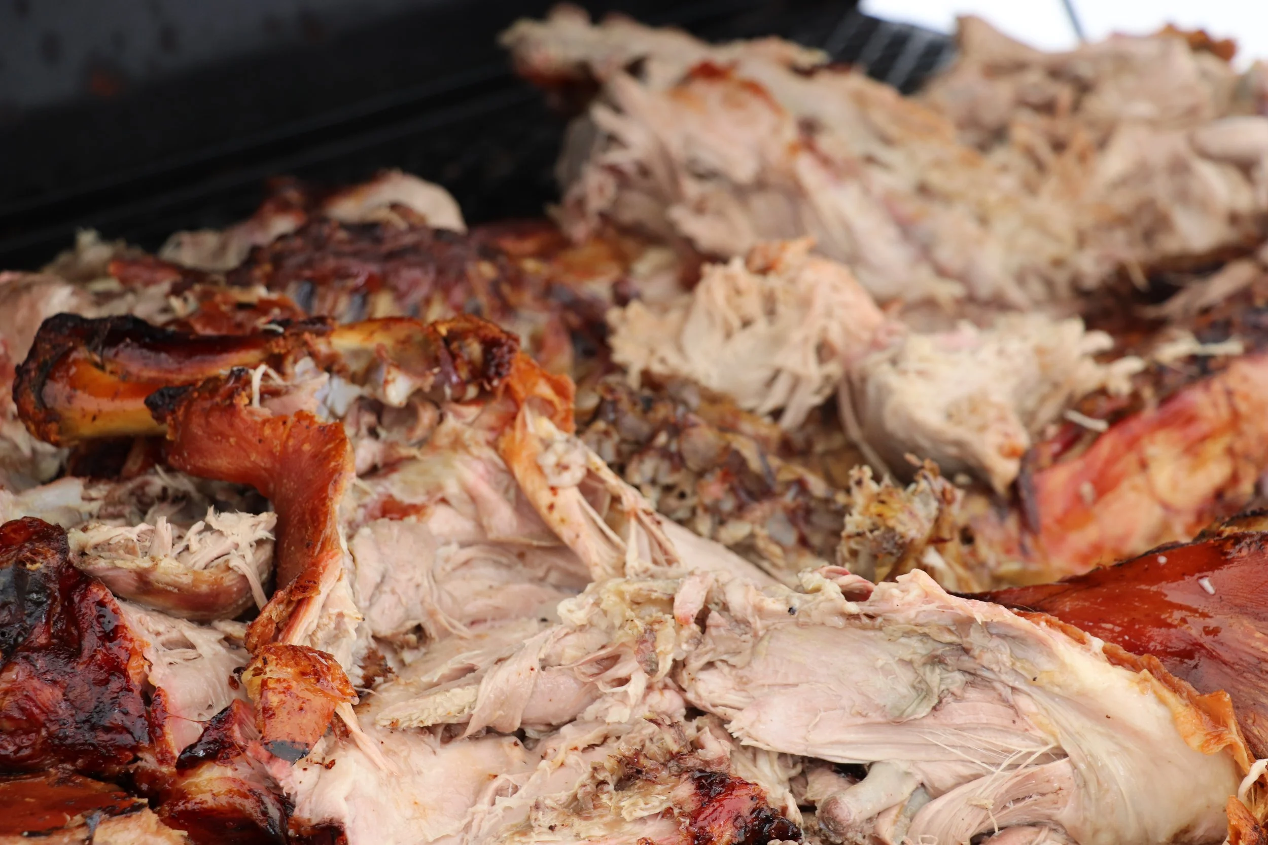 Whole Hog Barbecue Series