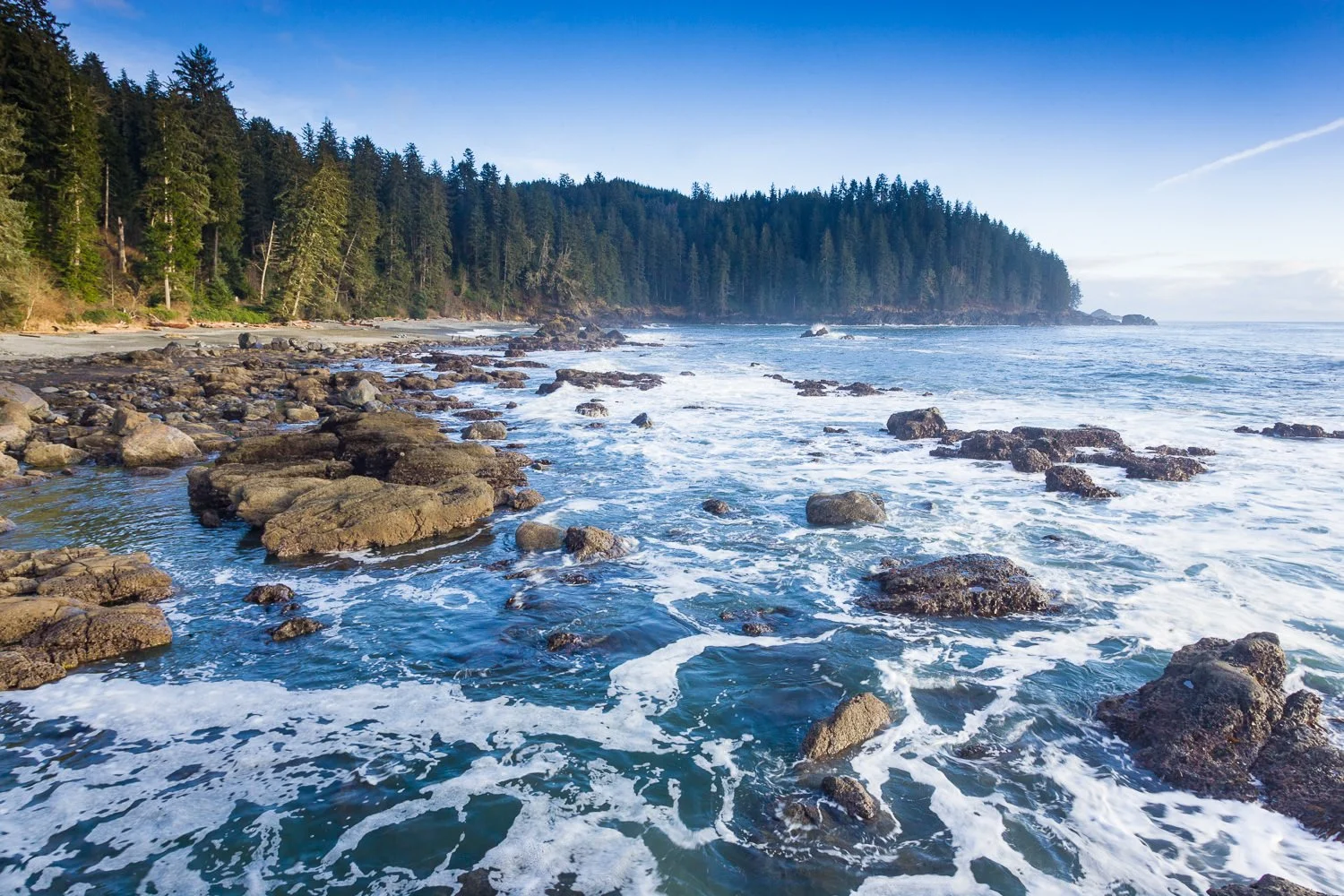 About Port Renfrew, BC | West Coast Trails, Beaches & Old-Growth ...