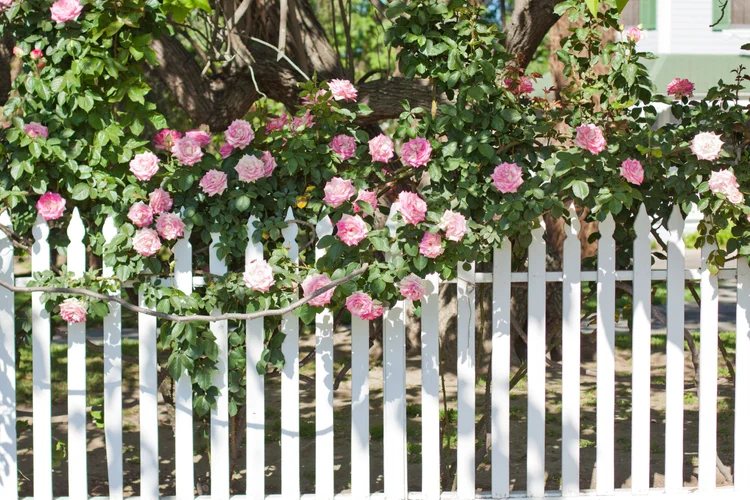 Paddison Farm Location Features — Paddison Farm